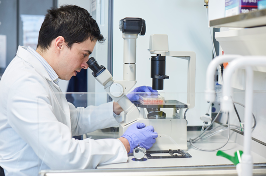 The BHF Raffle | British Heart Foundation - BHF