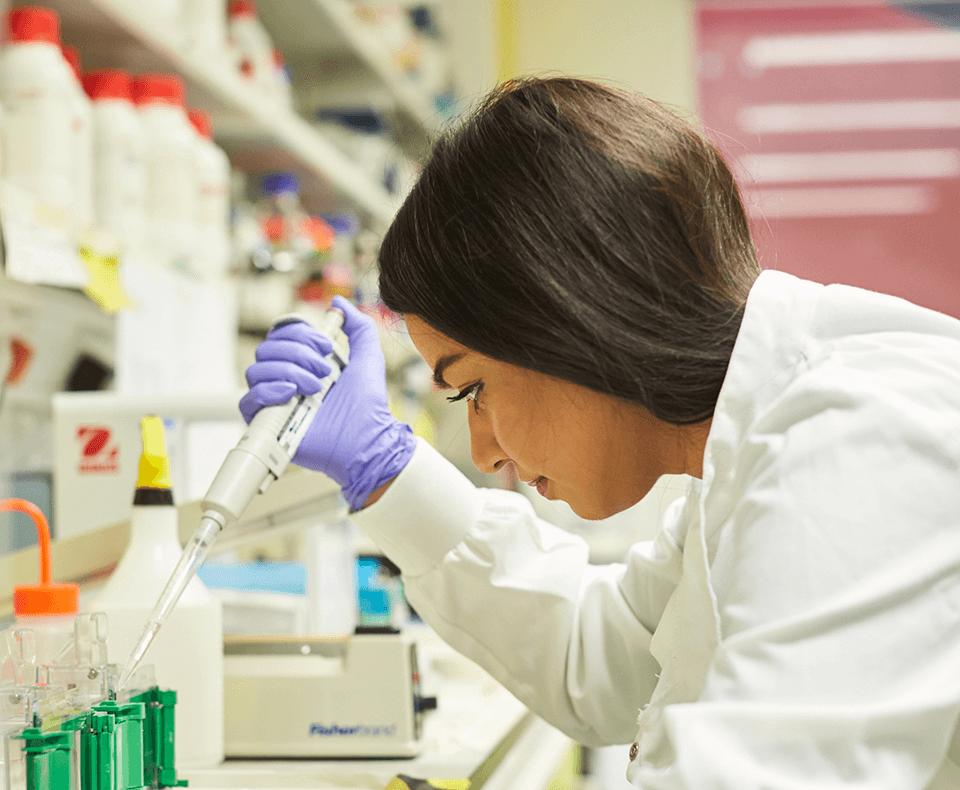 Funding across the UK - Interactive visualisations - BHF