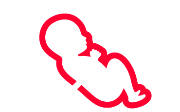 Get a free guide to writing your Will - BHF