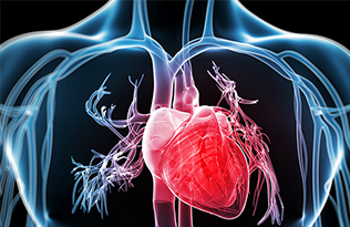 Medical section - Heart Matters magazine - BHF