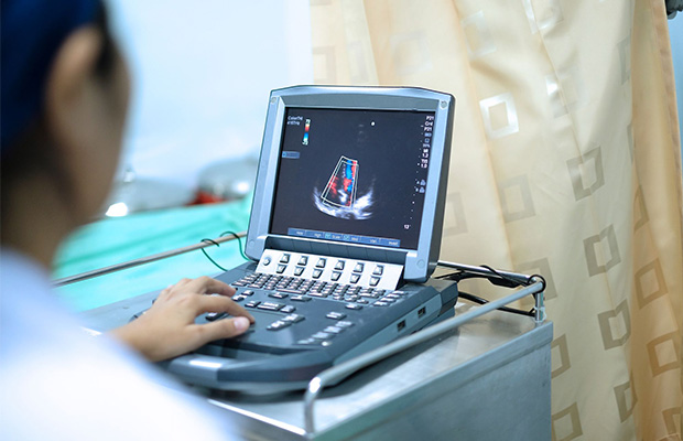 Echocardiogram: how to read your results - BHF