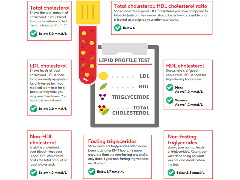 Understanding your cholesterol levels - BHF