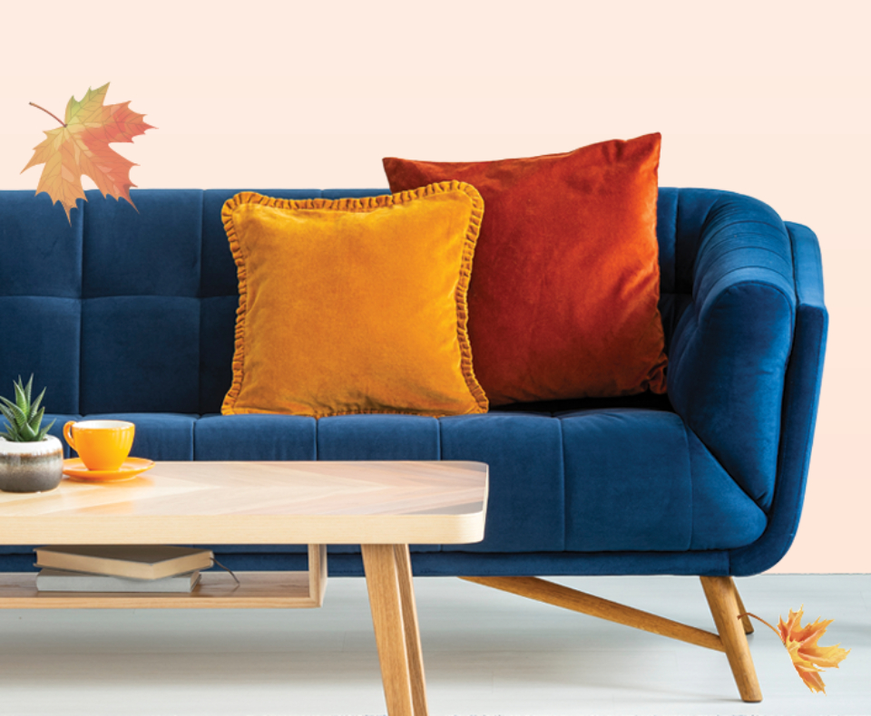 Donate items to our charity shops and home stores - BHF