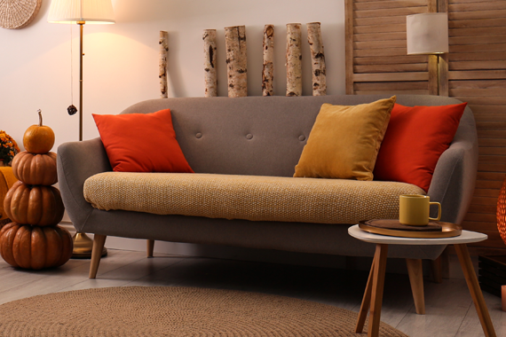 Shop with the British Heart Foundation