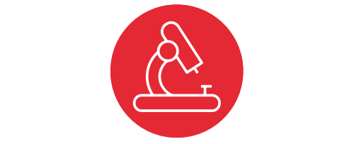 Annual Report and Accounts 2024 - BHF