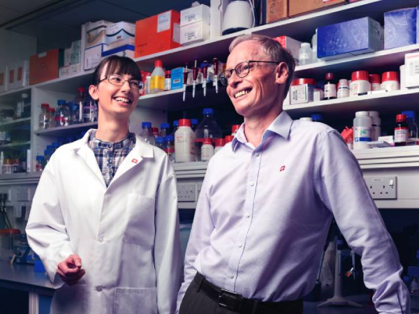 What does the British Heart Foundation do? - BHF