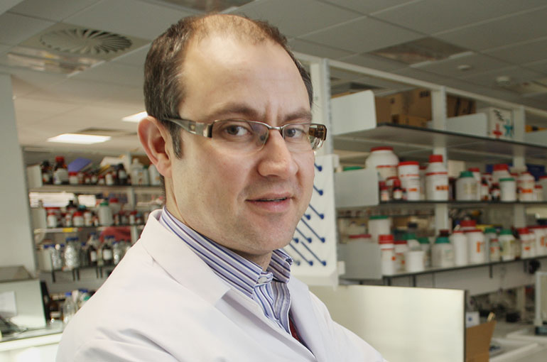 Research in Northern Ireland - BHF