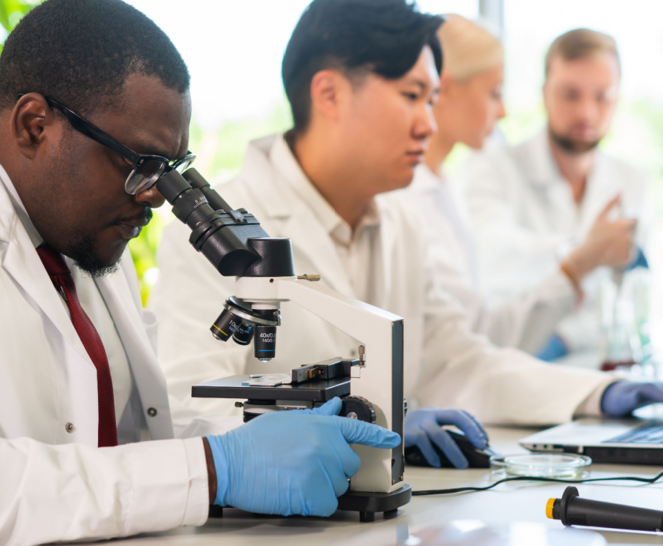 Our research impact and success reports - BHF