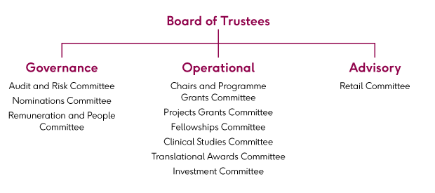 How we are governed - BHF