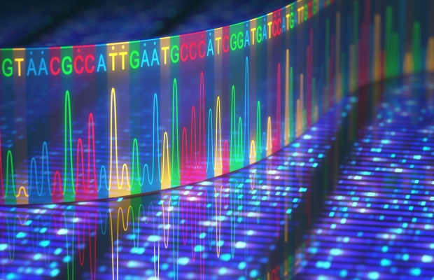How your genes affect your heart attack risk - BHF
