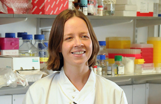 Research projects - BHF