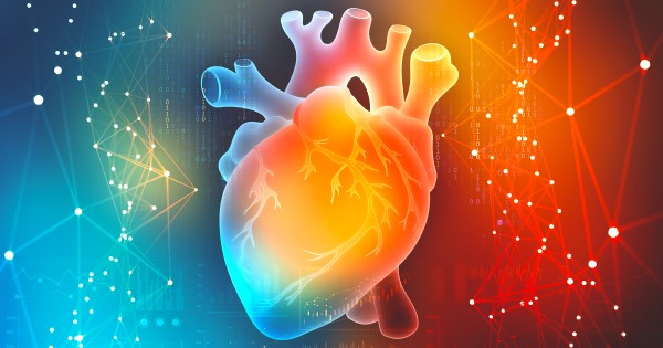 Celebrating the British Heart Foundation's research highlights of 2021 ...