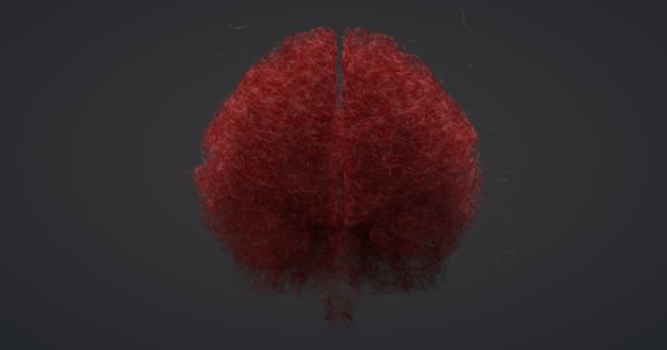Blood vessel breakthrough major step towards Alzheimers treatment - BHF