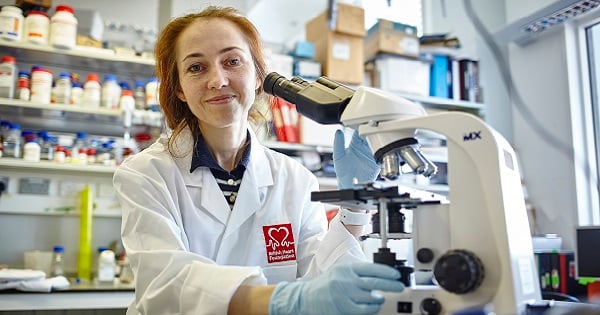 Our science highlights of 2021 - BHF