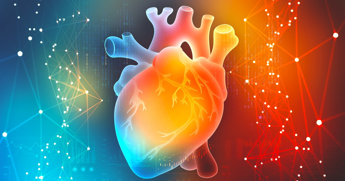 The biggest funder of heart and circulatory research in Europe - BHF