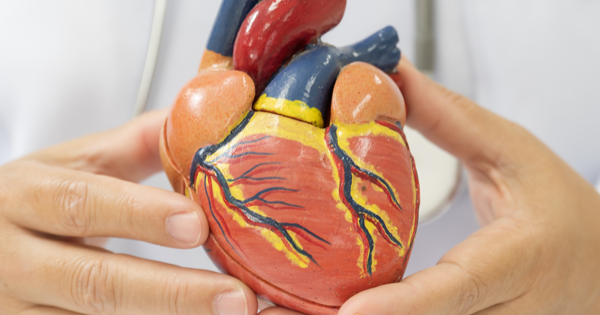 Personality traits linked to higher risk of heart attack and stroke - BHF